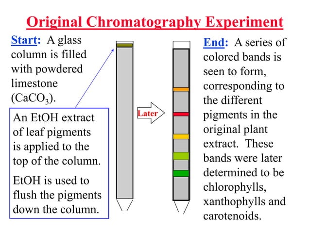 principle and application of gas chromatography.ppt