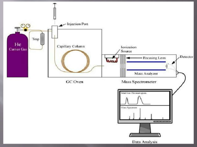 GAS CHROMATOGRAPHY-MASS SPECTOMETRY | PPTX | Chemistry | Science