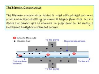 Gc ms (Revised) | PDF