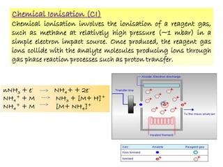 Gc ms (Revised) | PDF