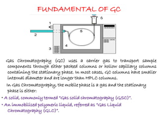 Gc ms (Revised) | PDF