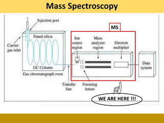 Gas Chromatography and Mass Spectroscopy | PPTX