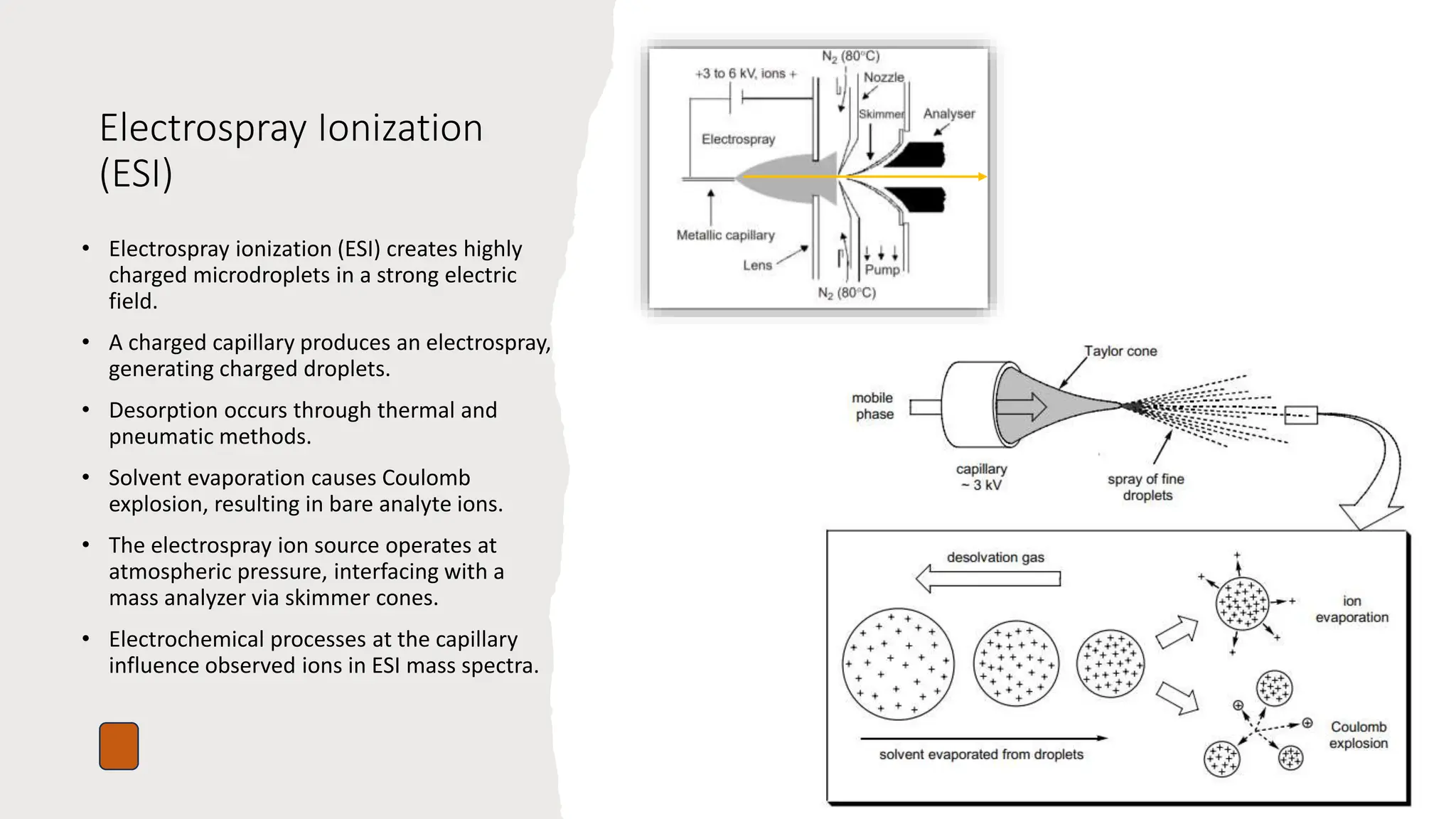 Gas Chromatograph-Mass Spectrometer.pptx