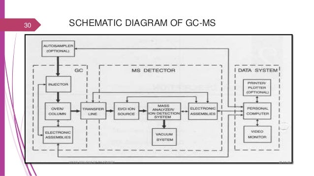 Gc Ms Mr S