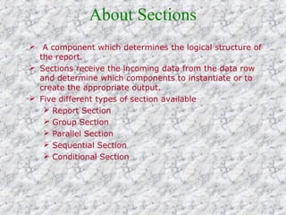 Actuate Birt Sections Ppt
