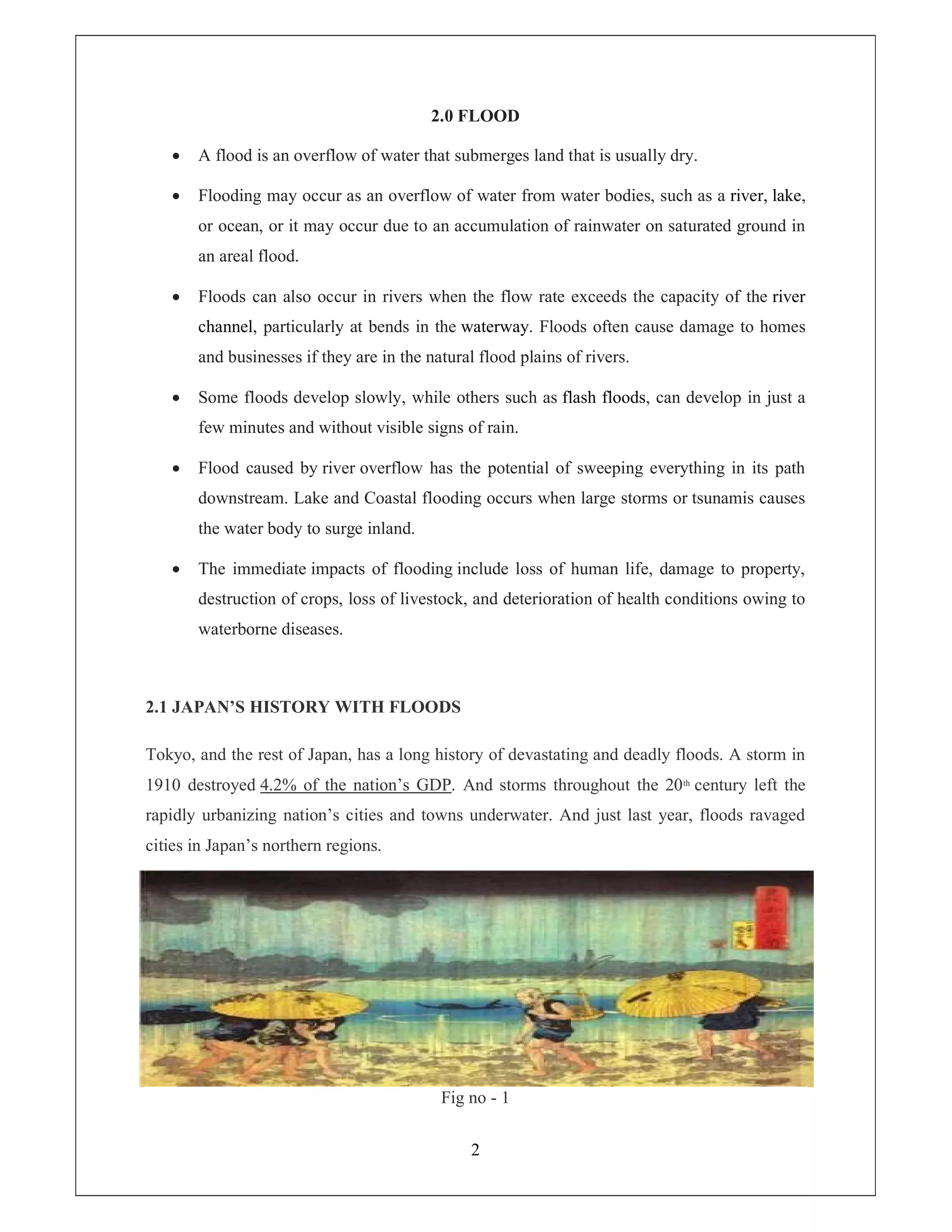 G cans project report | PDF