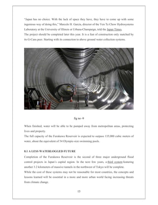 G cans project report | PDF