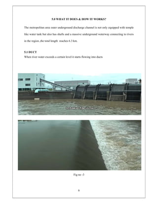 G cans project report | PDF