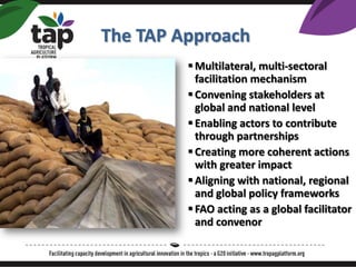 C2.1. The Tropical Agriculture Platform. | PPT