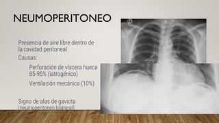 Signos radiograficos en el torax del adulto | PPT