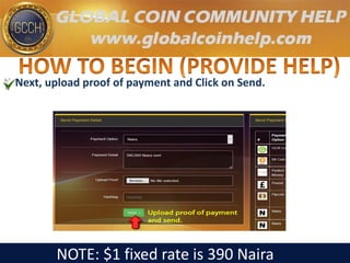 GCCH NIGERIA PRESENTATION | PDF