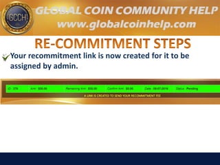 GCCH NIGERIA PRESENTATION | PDF