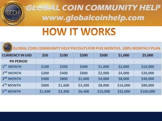 GCCH NIGERIA PRESENTATION | PDF