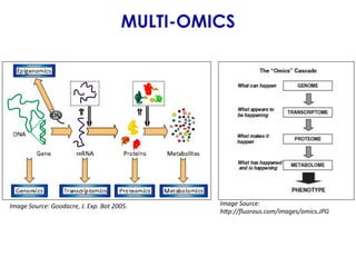 The Galaxy framework as a unifying bioinformatics solution for multi-omic data analysis. | PPT
