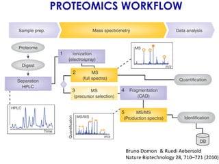 The Galaxy framework as a unifying bioinformatics solution for multi-omic data analysis. | PPT