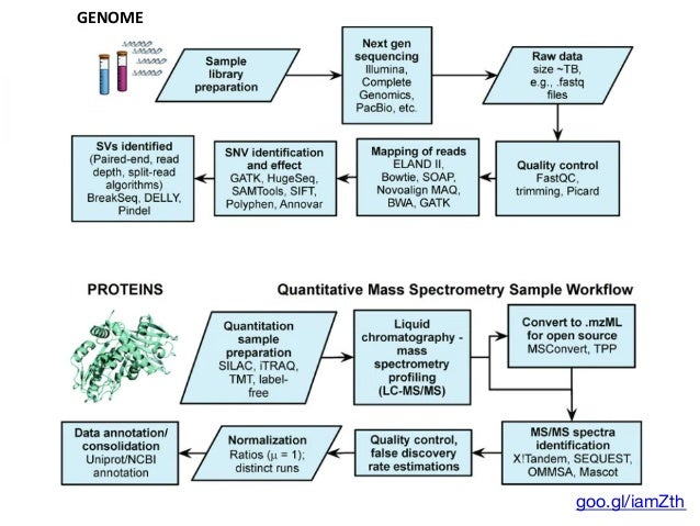 The Galaxy Framework As A Unifying Bioinformatics Solution For Multi