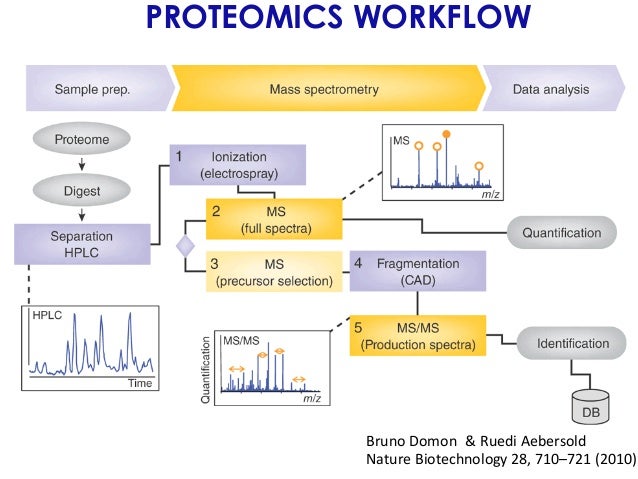 The Galaxy Framework As A Unifying Bioinformatics Solution For Multi …