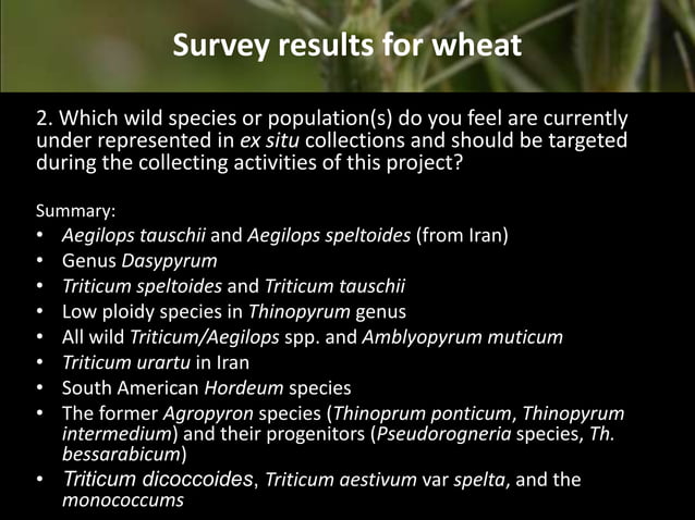 Using crop wild relatives in crop improvement | PPTX | Agriculture ...