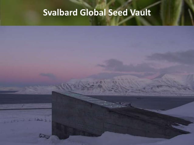 Using crop wild relatives in crop improvement | PPTX | Agriculture | Industries