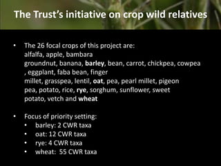 Using crop wild relatives in crop improvement | PPTX