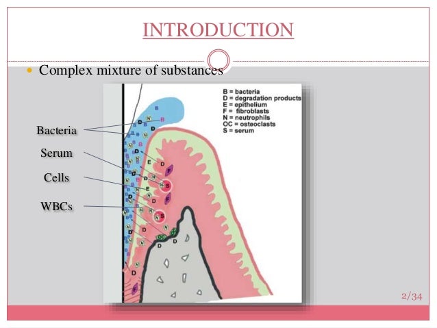 Gingival crevicular fluid