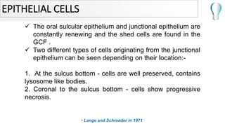 Gingival Crevicular Fluid (GCF/ Sulcular Fluid) | PPTX