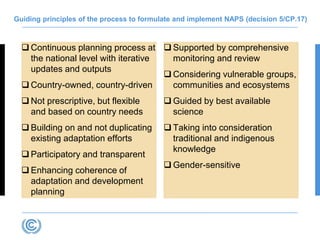 The sample NAP process based on the UNFCCC NAP technical guidelines | PDF