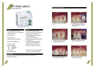 Buy Gc Gold Label 9 Posterior Restorative - GC India Dental | PPT