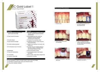 GC Gold Label (GC): Glass Ionomers (GIC): gcindiadental.com