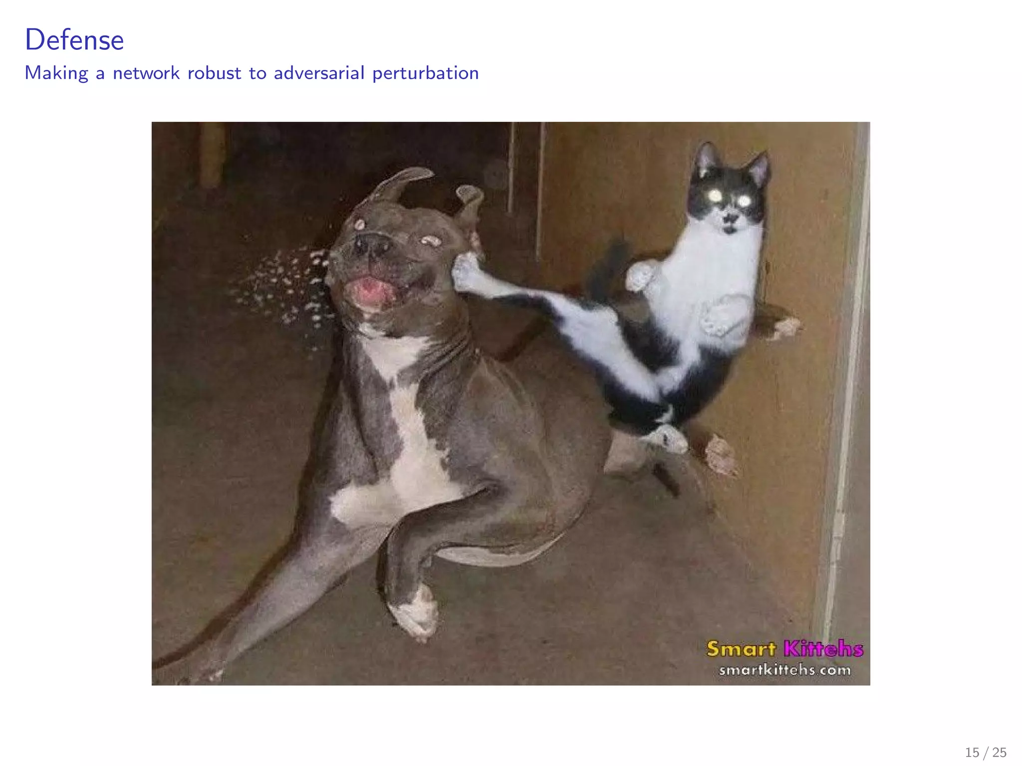 Adversarial examples in deep learning (Gregory Chatel) | PDF | Computing | Technology & Computing