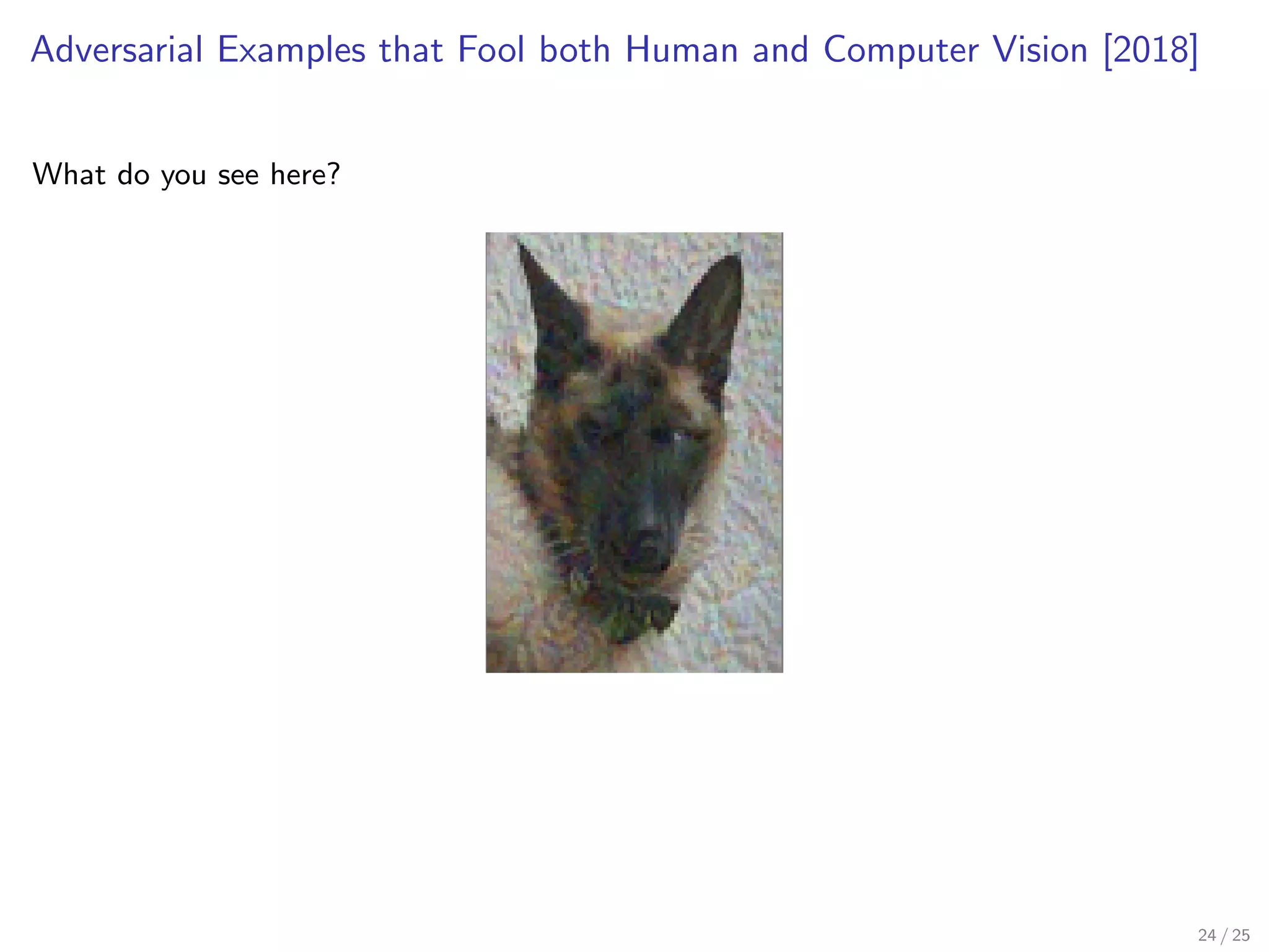 Adversarial examples in deep learning (Gregory Chatel) | PDF | Computing | Technology & Computing