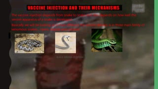 SNAKE VENOM PPT | PPTX