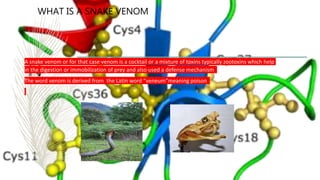 SNAKE VENOM PPT | PPTX