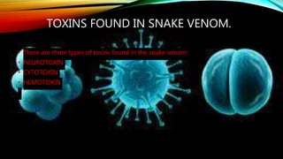 SNAKE VENOM PPT | PPTX