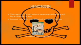 SNAKE VENOM PPT | PPTX