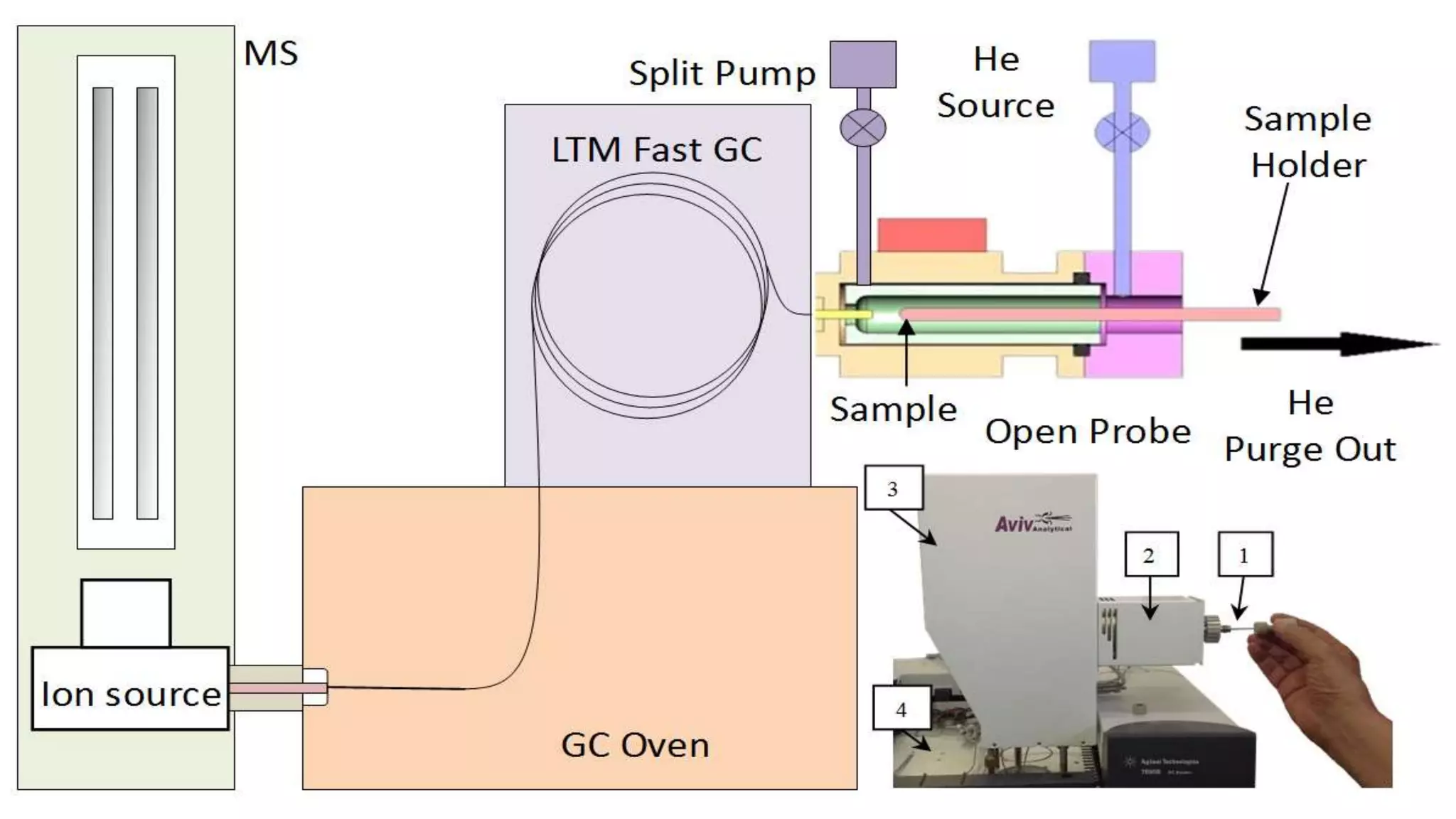 GC - MS | PPT