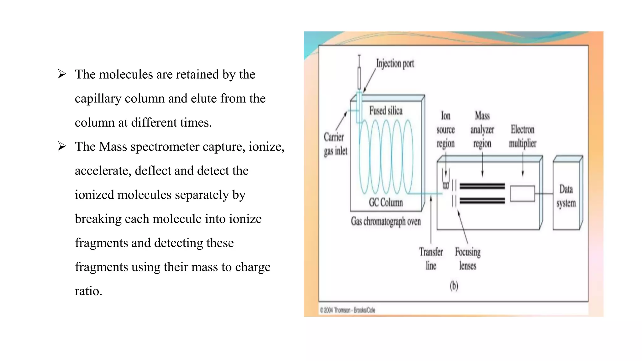 GC -MS/MS and LC MS/MS | PDF