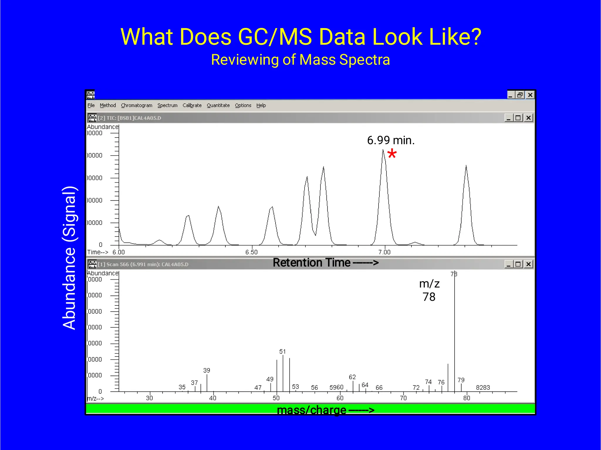 Chromatography GCMS_Overview__1719054462.pdf