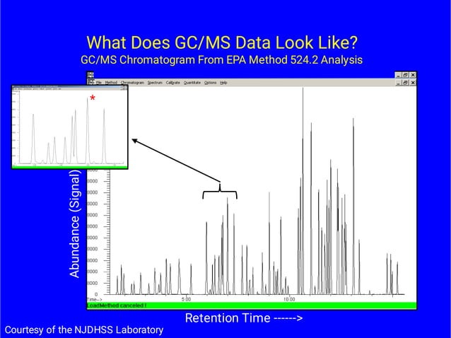 Chromatography GCMS_Overview__1719054462.pdf