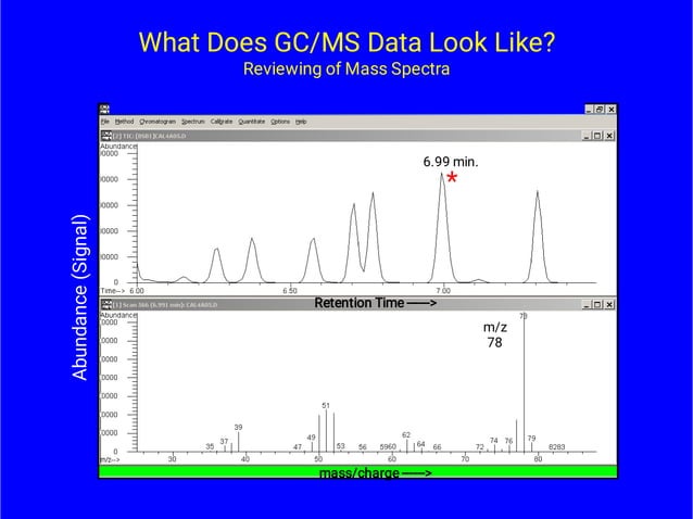 Chromatography GCMS_Overview__1719054462.pdf