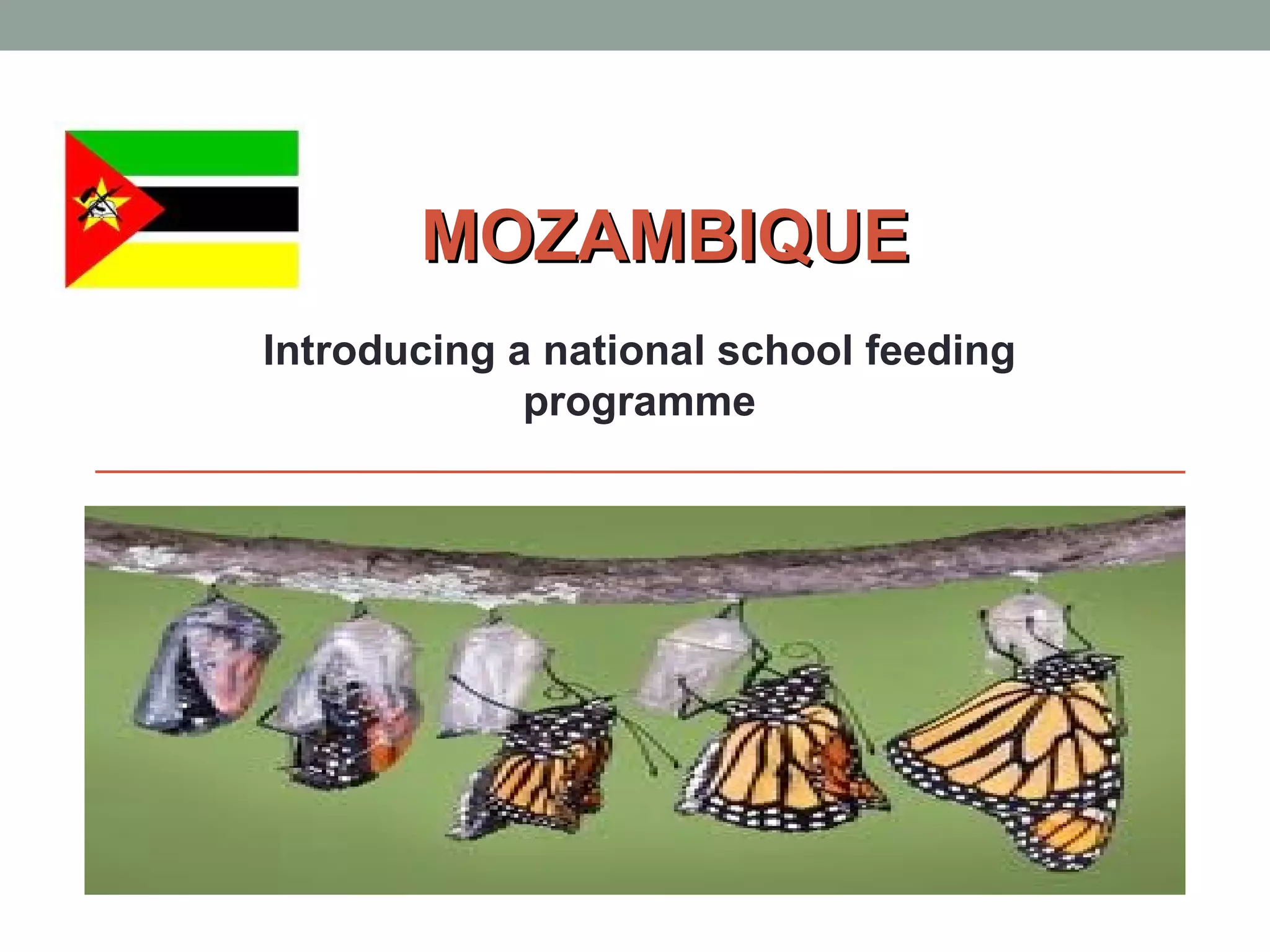 Introducing a national school feeding programme - The case of ...