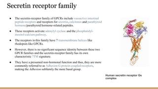 G-protein coupled receptors (GPCRs) | PPTX