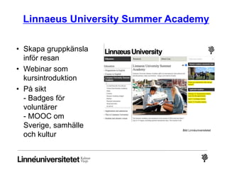 Global Classroom vid Lnu