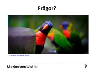 Global Classroom vid Lnu