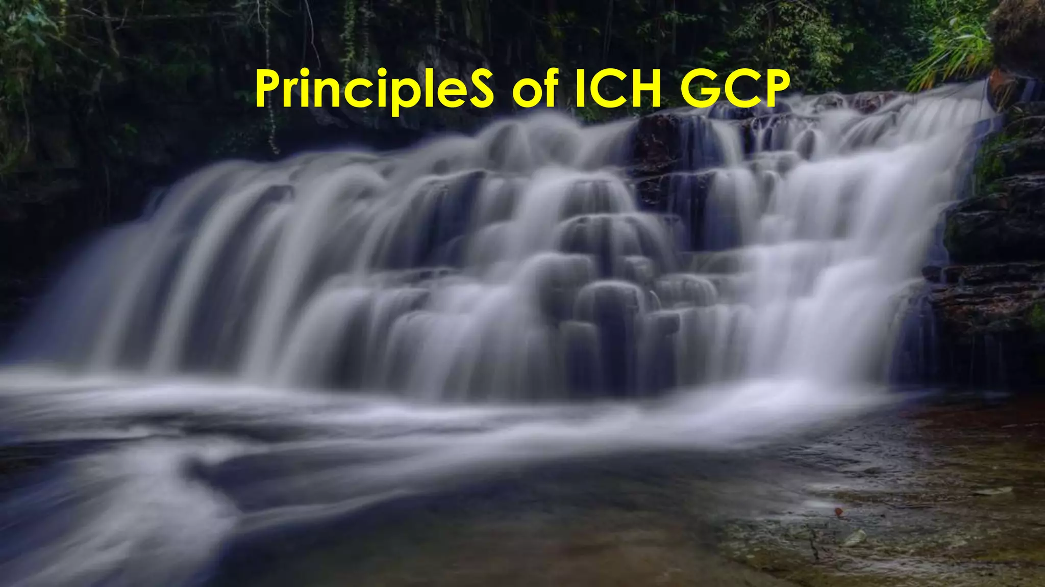 Good Clinical Practice | PPTX