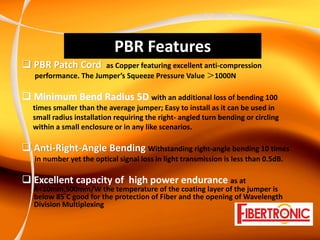 ***P.B.R. Patch Cord*** | PPT