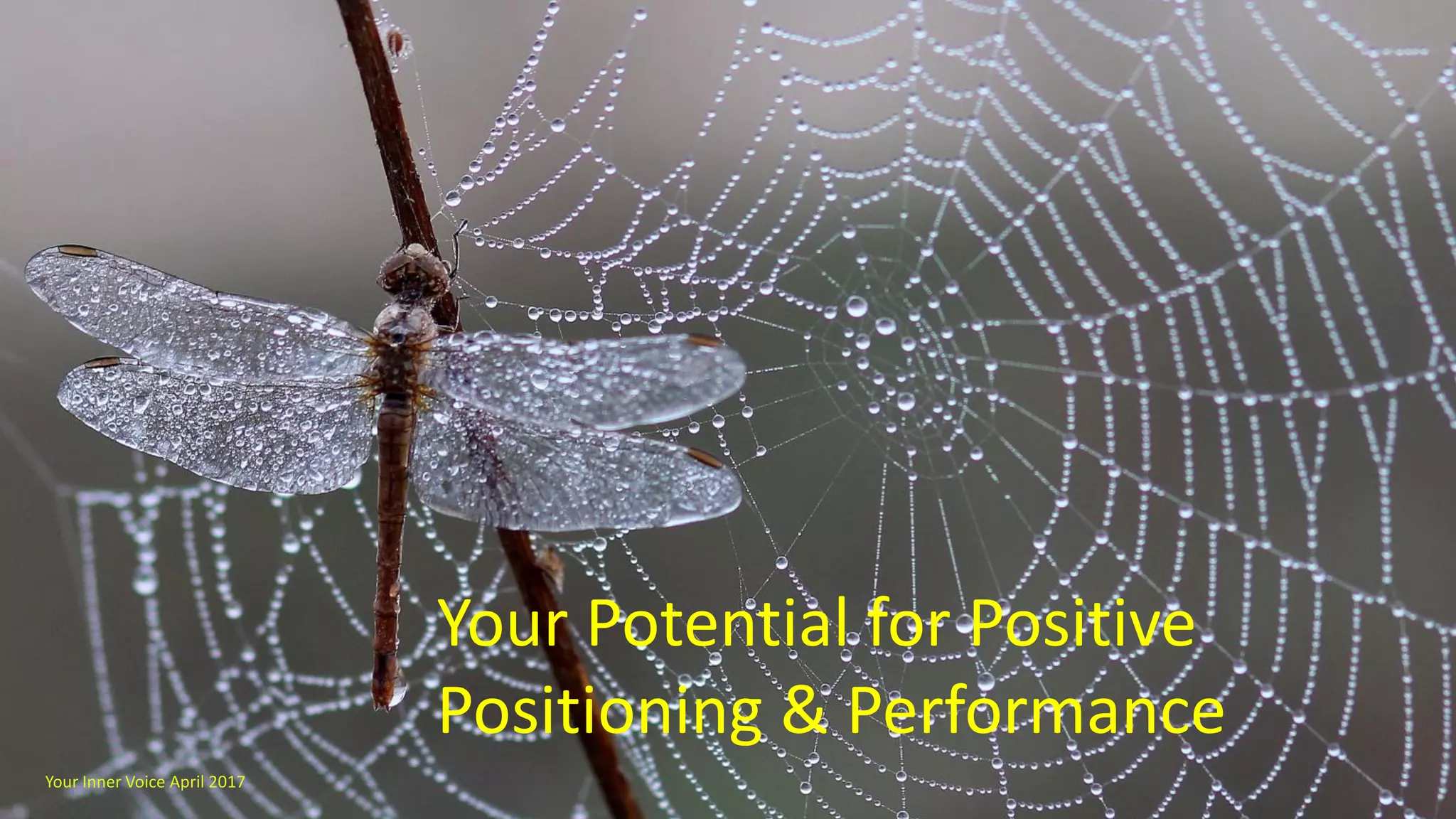 Your Potential for Positive Positioning & Performance | PPT