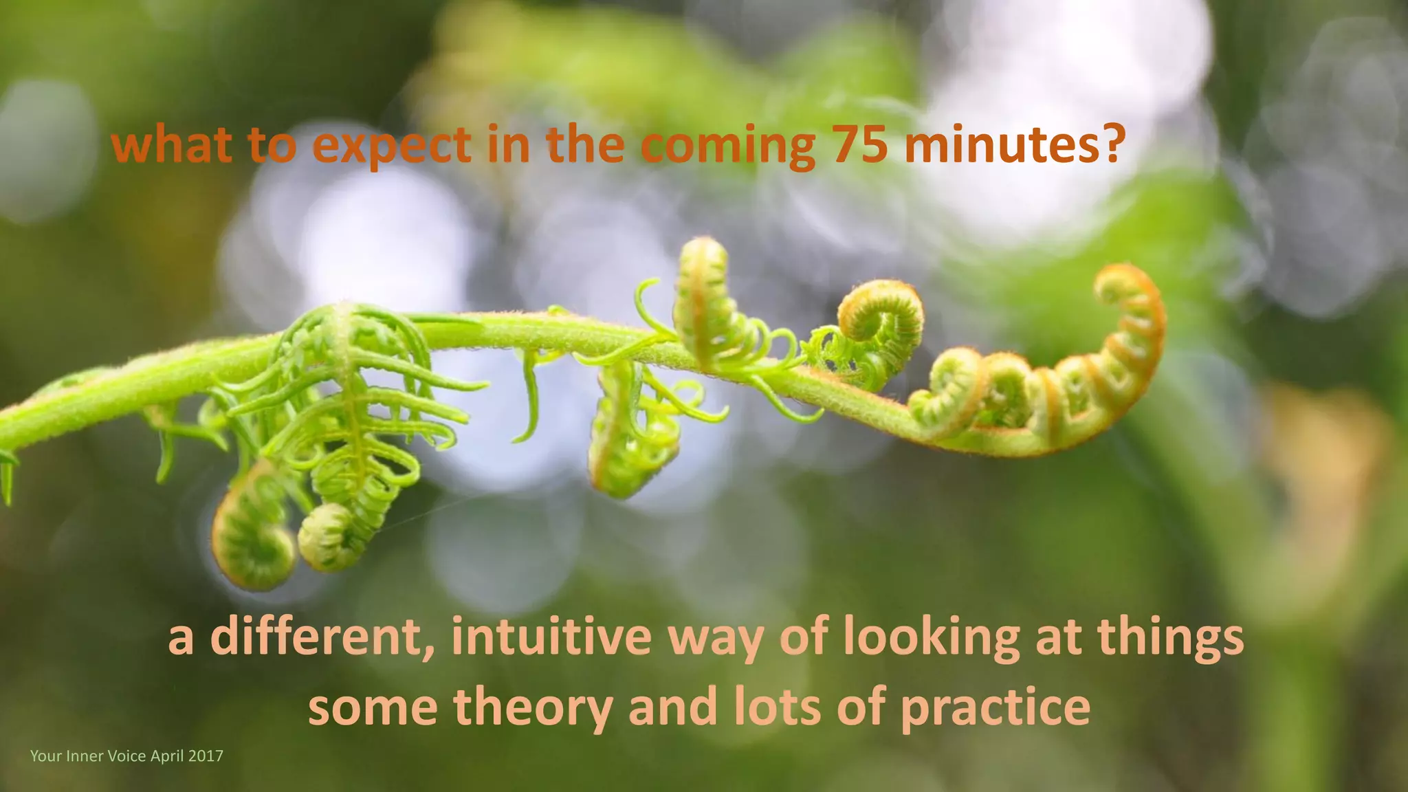 Your Potential for Positive Positioning & Performance | PPT