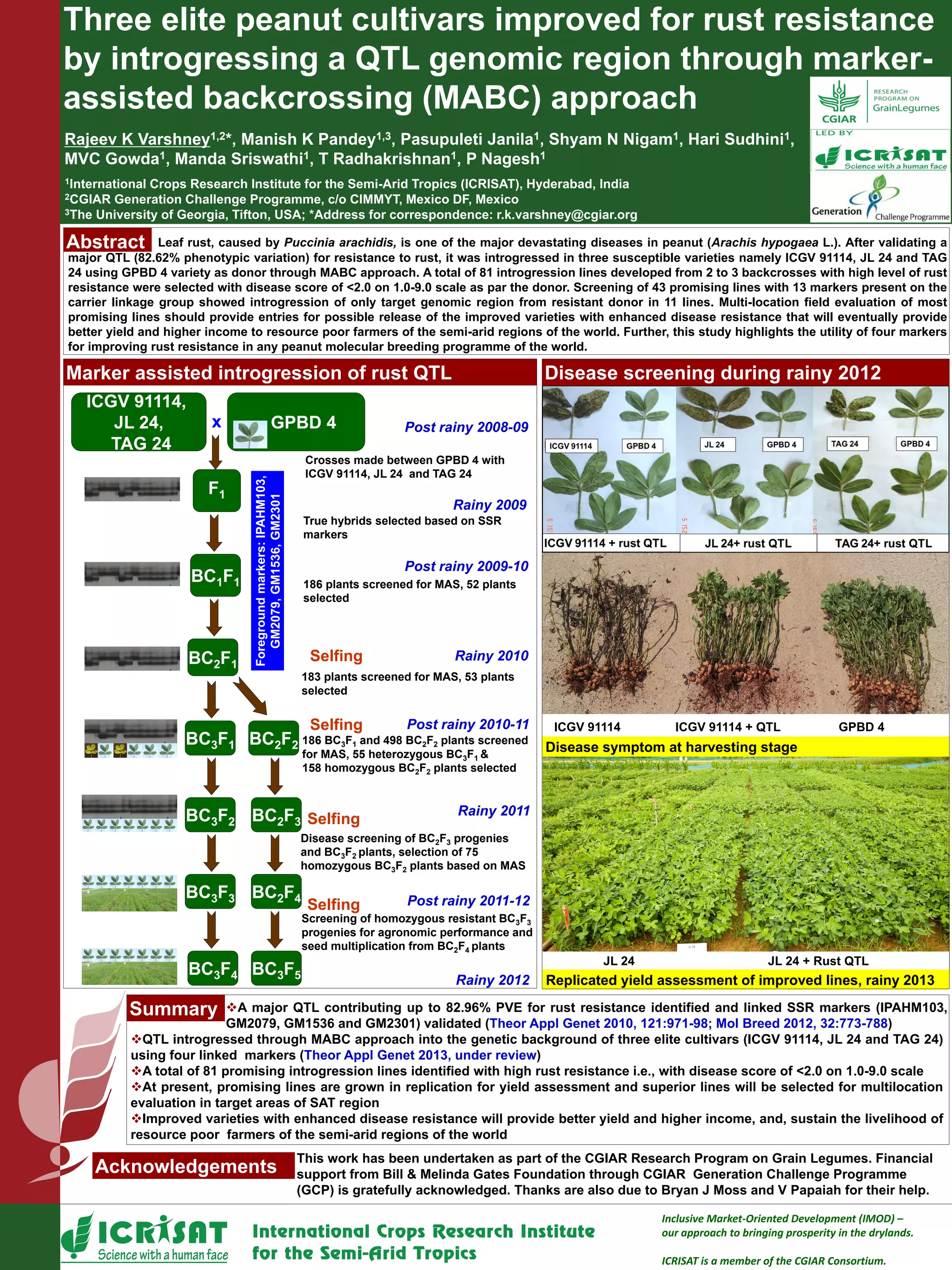Three elite peanut cultivars improved for rust resistance by ...