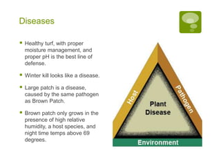 Lawn Care 101, Basic Turfgrass Management Principles | PPTX